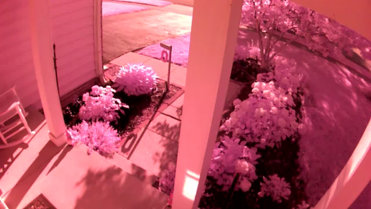 Solved: Picture turns red - Arlo Community