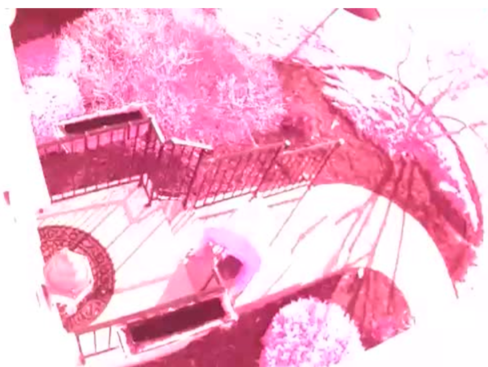 Picture turns red - Arlo Community