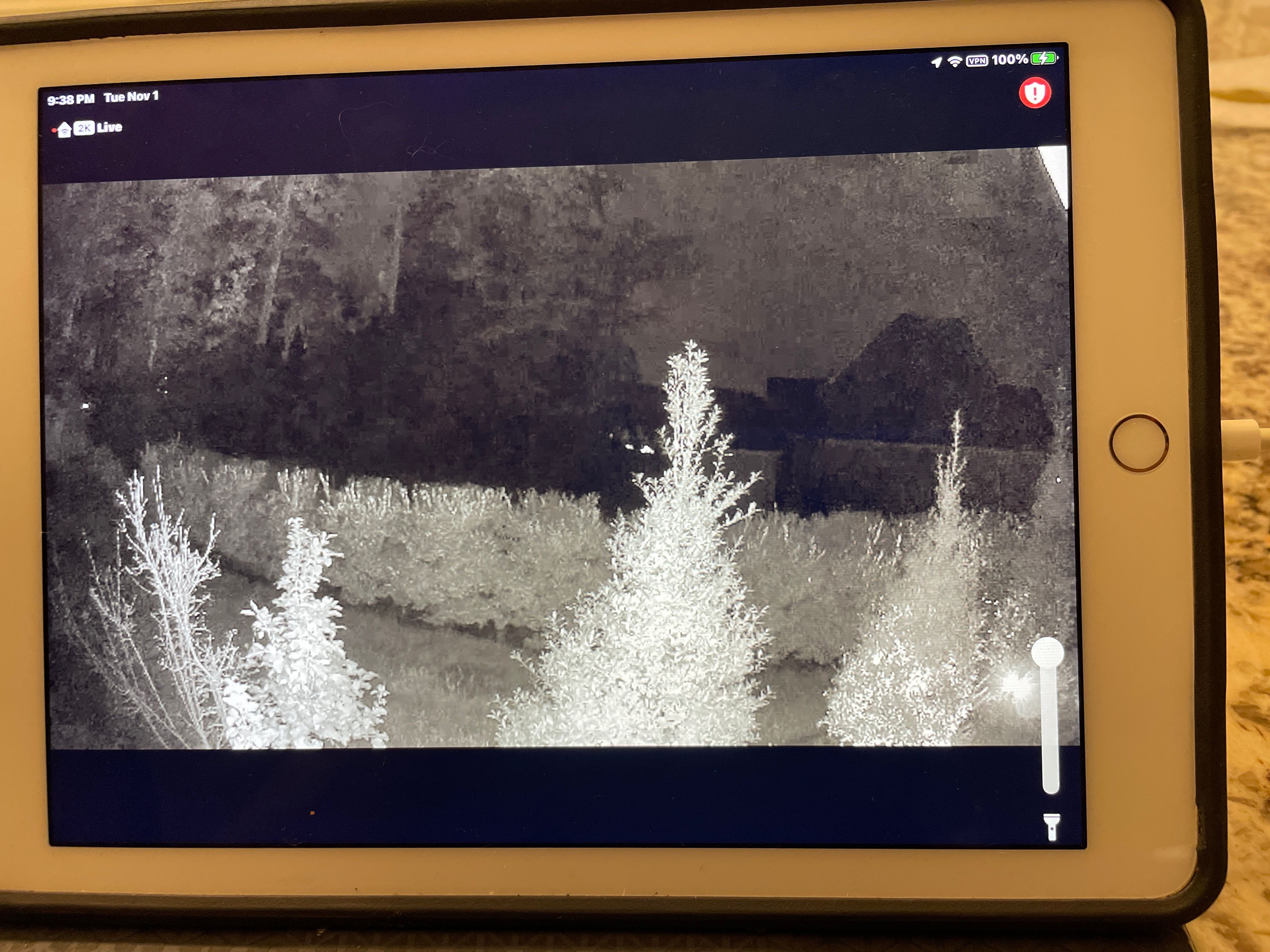 Why am I not getting color? - Arlo Community